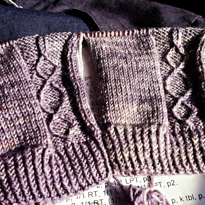 Operon socks – first test knit – Meow & Ribbit
